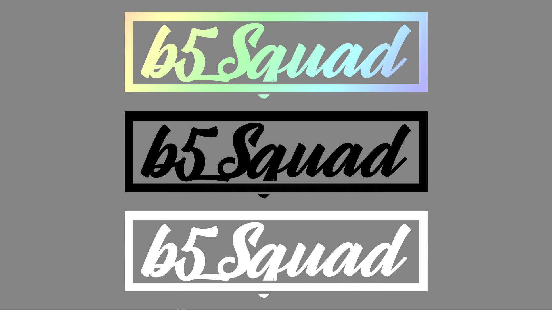 Autosticker - b5_squad - B5_Builds